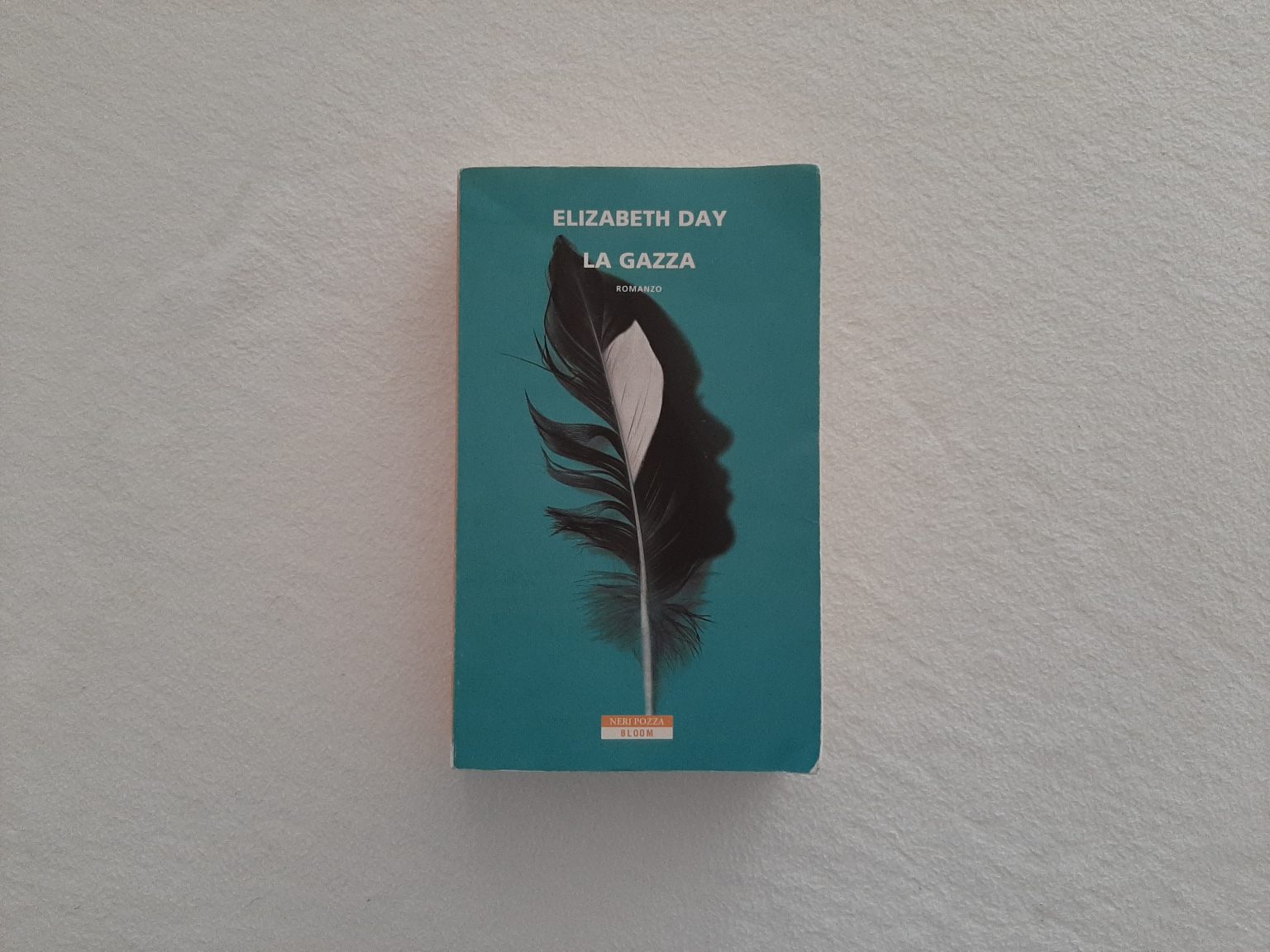 La gazza di Elizabeth Day - Risvolti di copertina